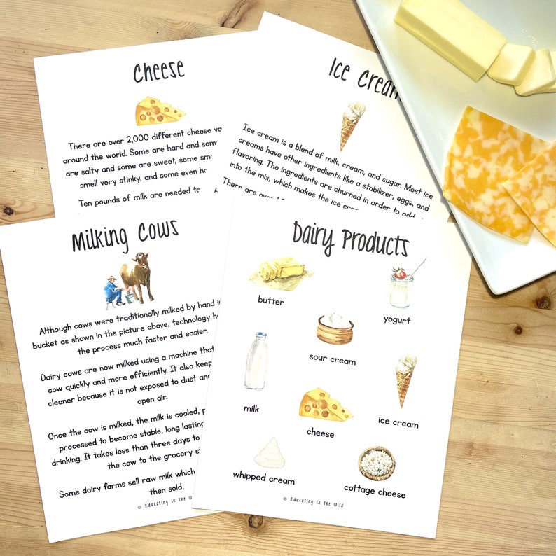 Dairy Cow Unit Study - Etsy