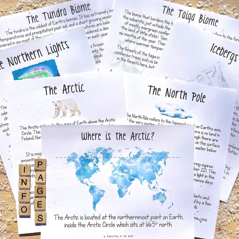 Arctic Unit Study - Etsy