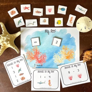 Coral Reef Unit Study - Etsy