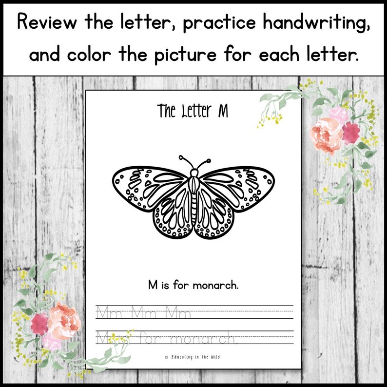 North American Animal Alphabet Printable Handwriting Practice Pages - Etsy