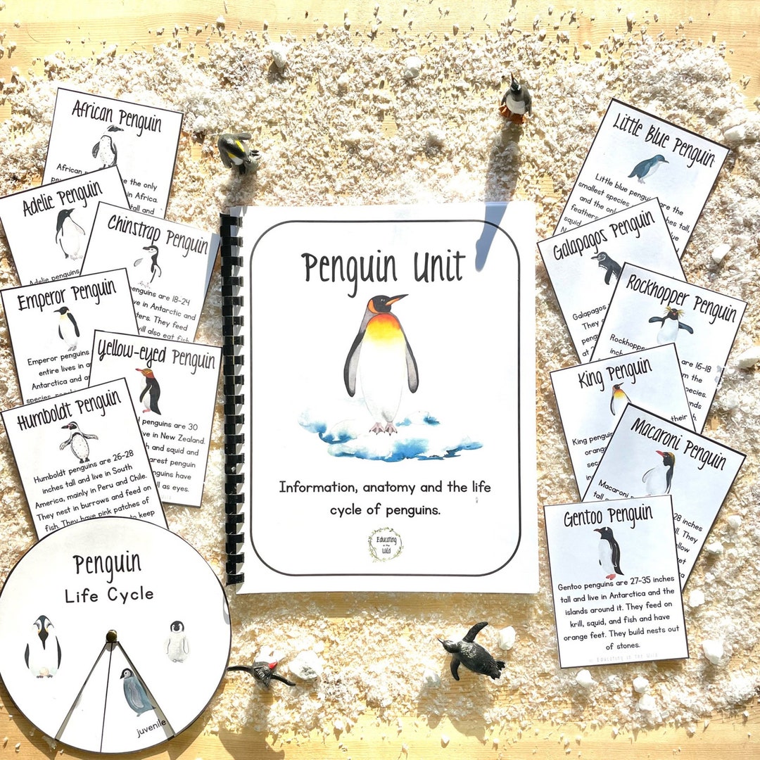 Penguin Unit Study - Etsy