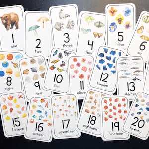 Watercolor Nature Number Cards - Etsy