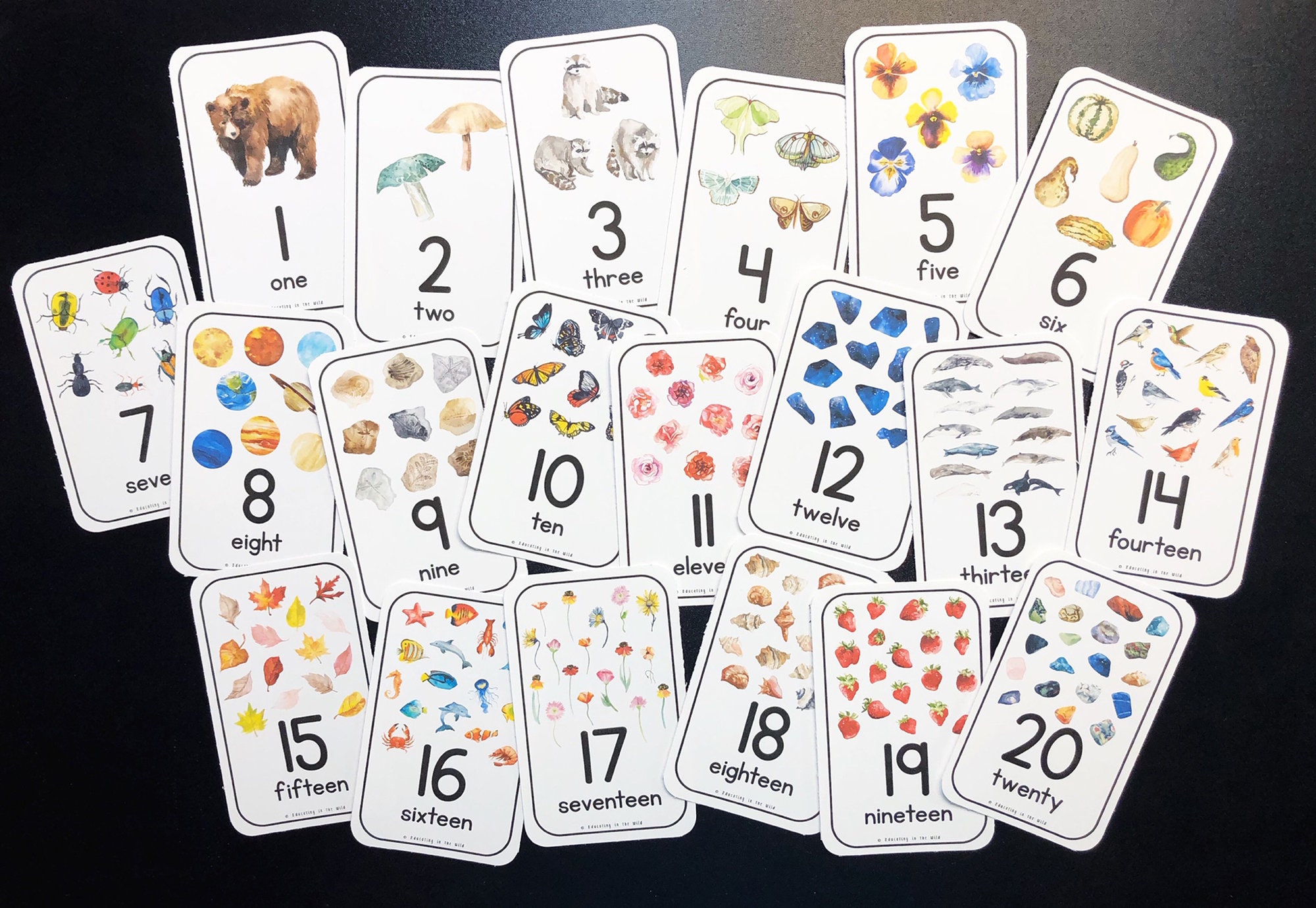 Watercolor Nature Number Cards - Etsy