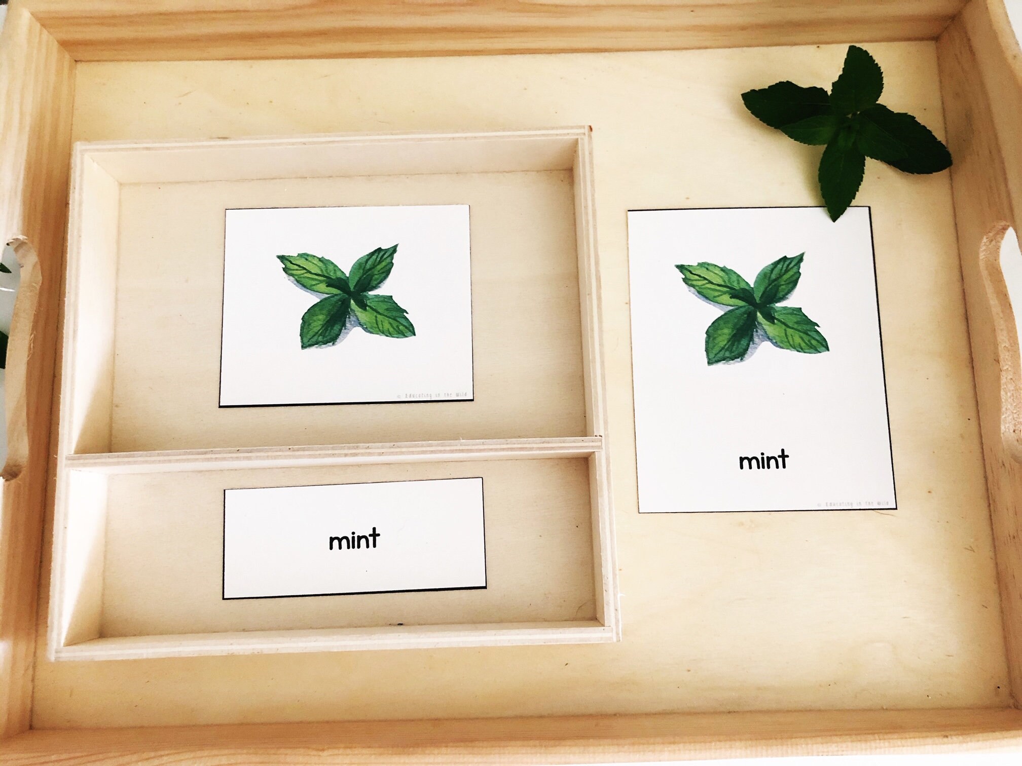 Watercolor Herbs and Spices 3 Part Cards - Etsy