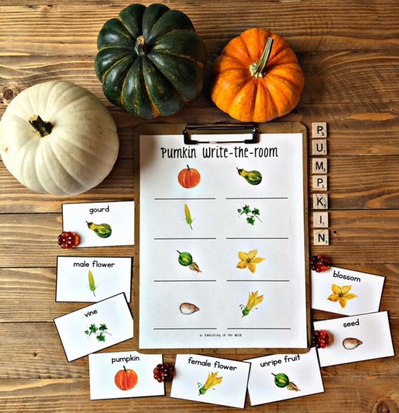 Pumpkin Unit Study - Etsy