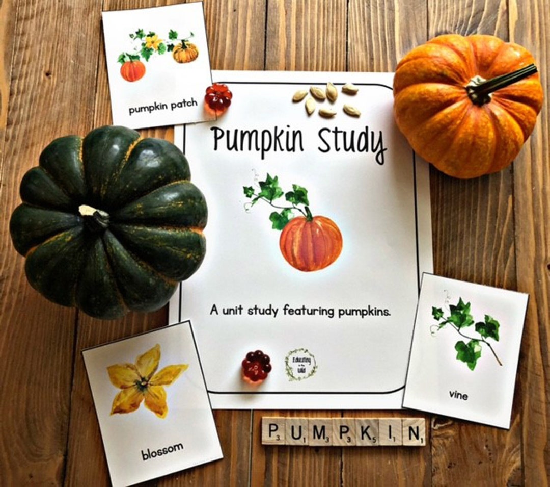Pumpkin Unit Study - Etsy