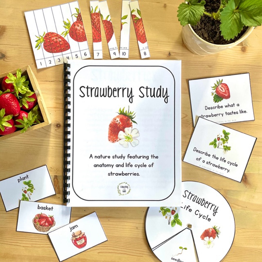 Strawberry Unit Study - Etsy