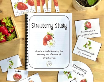 Strawberry Mini Unit Study - Etsy