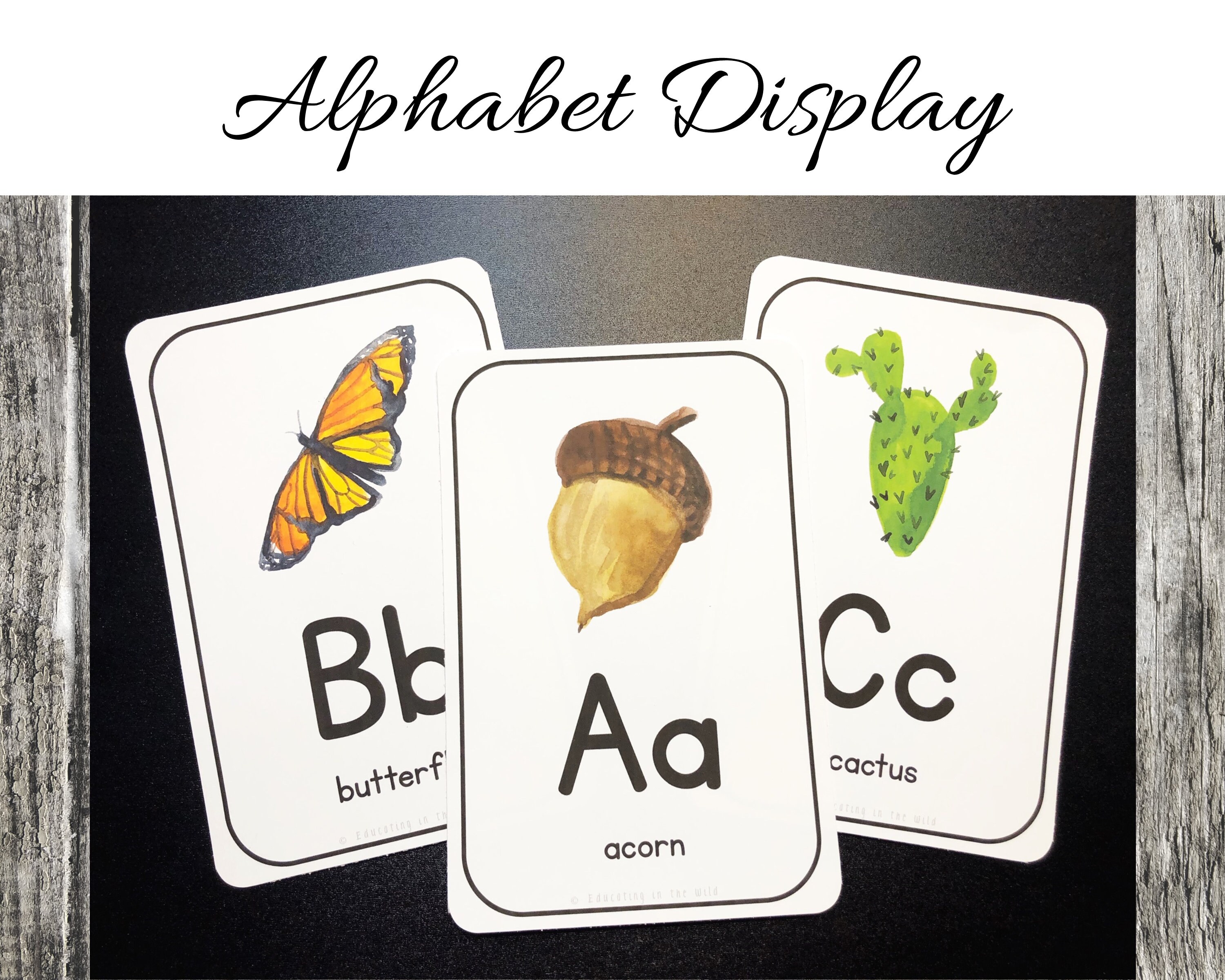 Watercolor Nature Alphabet Cards - Etsy