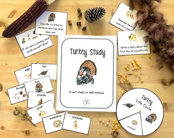 Turkey Tales: Turkey Anatomy, Bird Study, Bird Lesson, Bird Unit ...