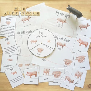 Farm Unit Study Bundle - Etsy
