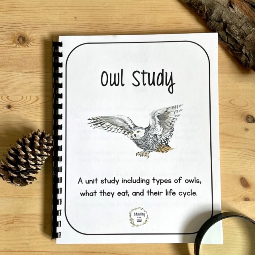 Owl Unit Study - Etsy
