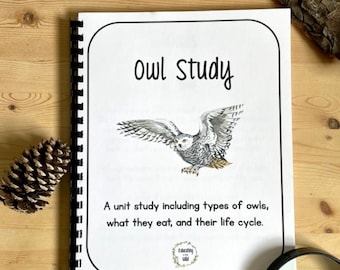 OWL Anatomy Poster and Labeling Activity Homeschool Instant - Etsy
