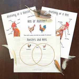Farm Unit Study Bundle - Etsy