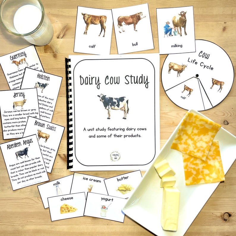 Dairy Cow Unit Study - Etsy