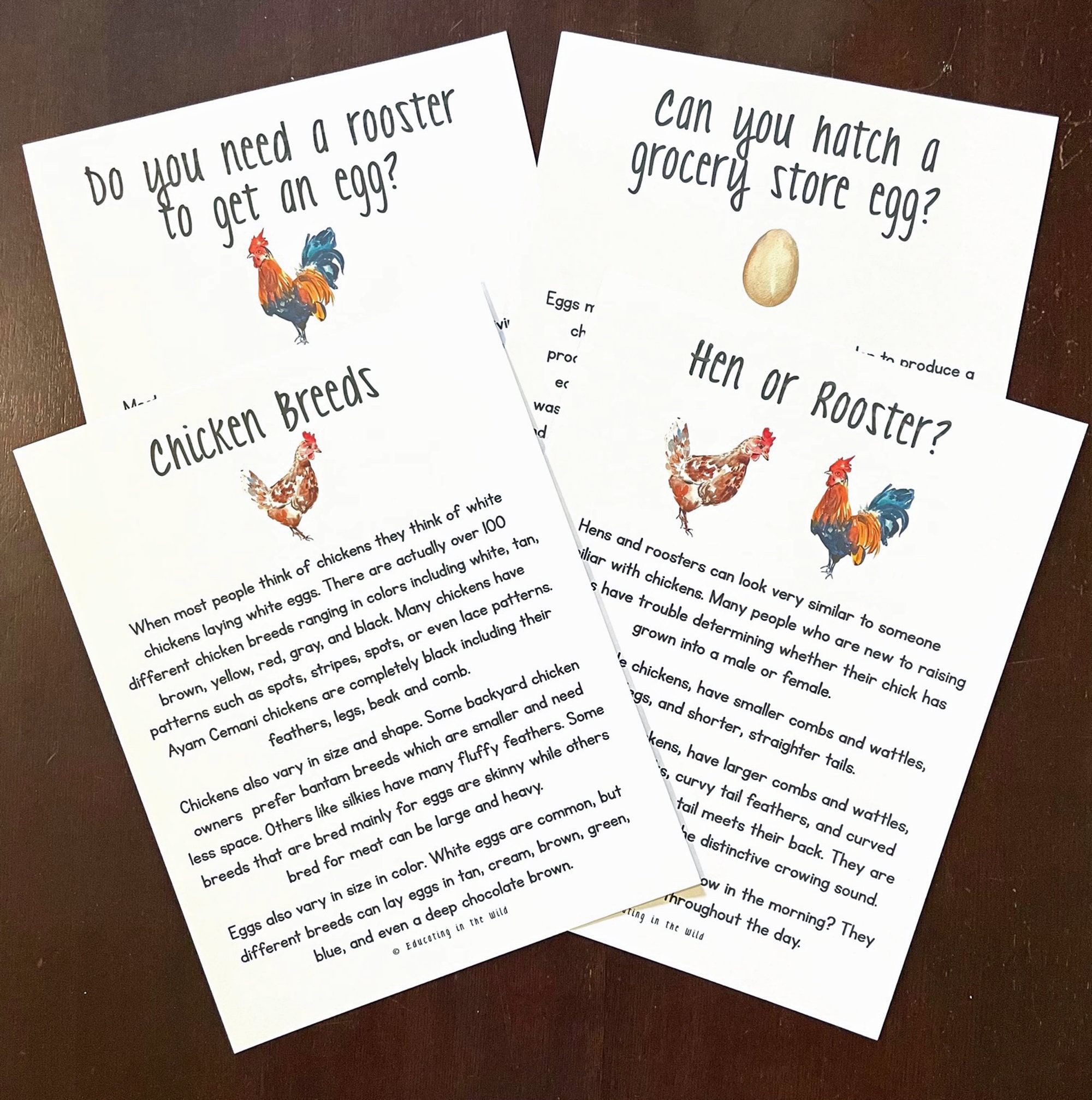 Chicken Unit Study - Etsy