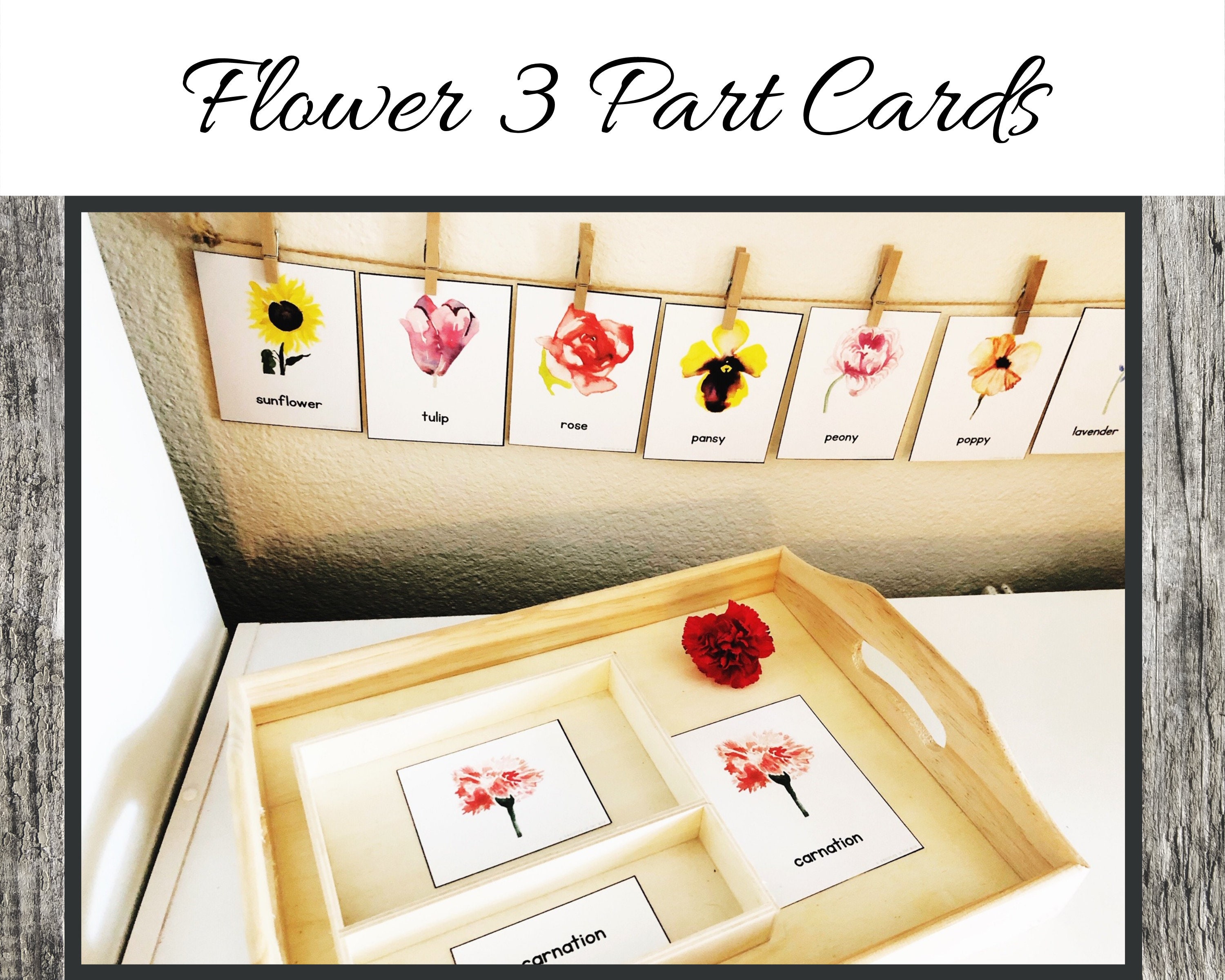 Watercolor Flower 3 Part Cards - Etsy