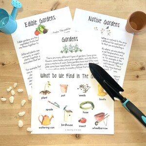 Garden Unit Study - Etsy