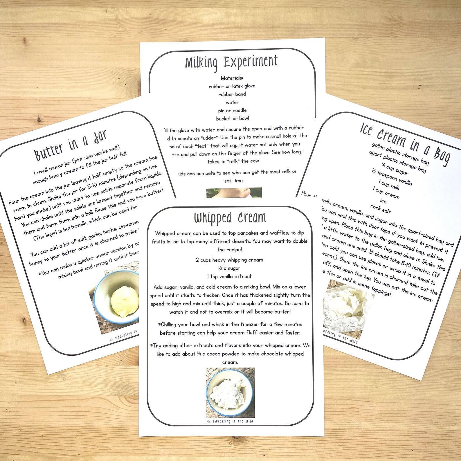 Dairy Cow Unit Study - Etsy