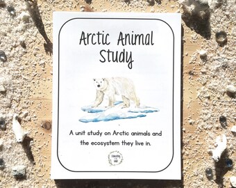 Arctic Food Web Mini Study: Homeschool Unit, Science Activities, Winter ...