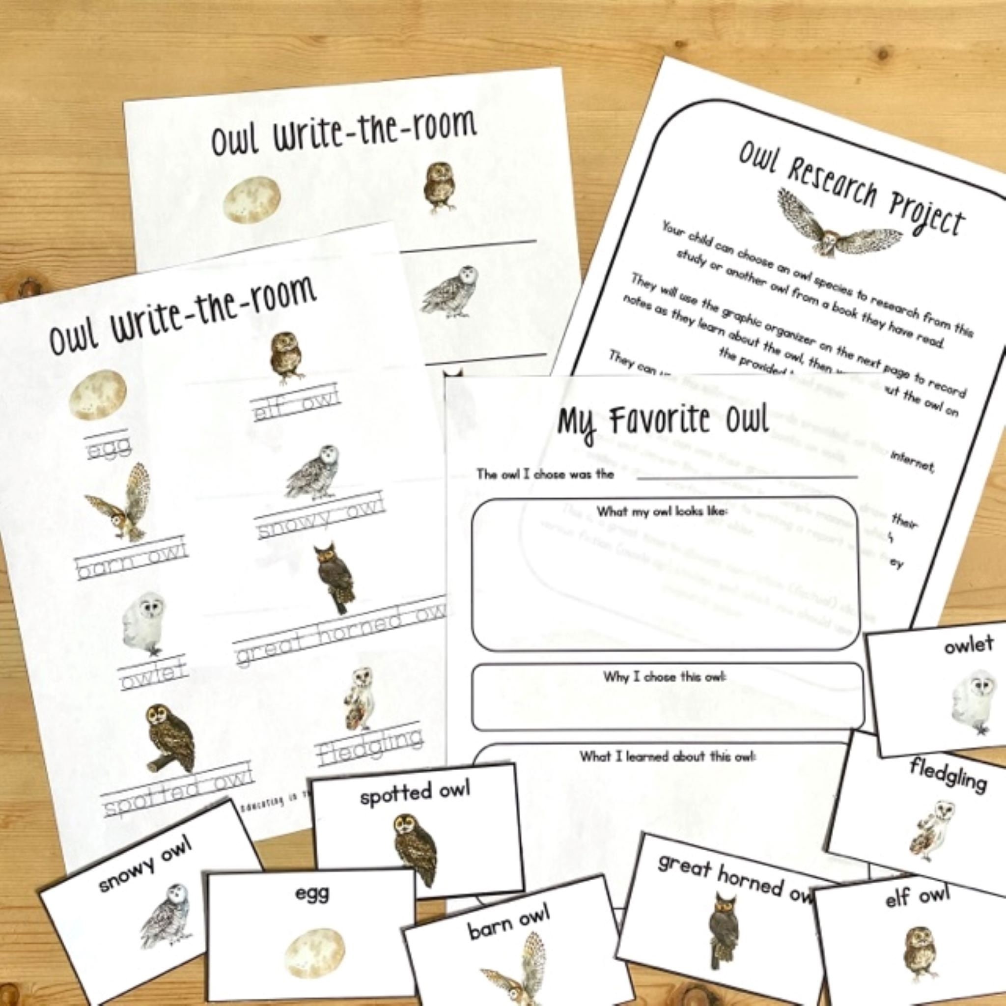 Owl Unit Study - Etsy