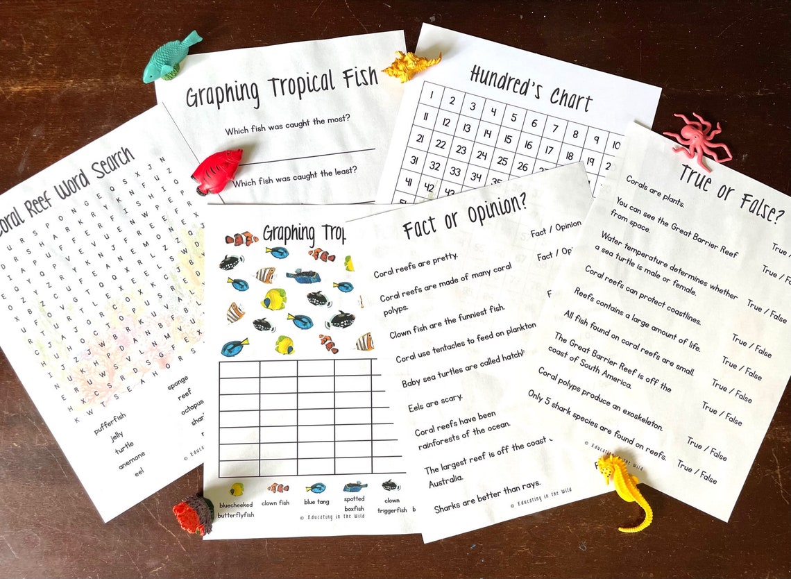 Coral Reef Unit Study - Etsy