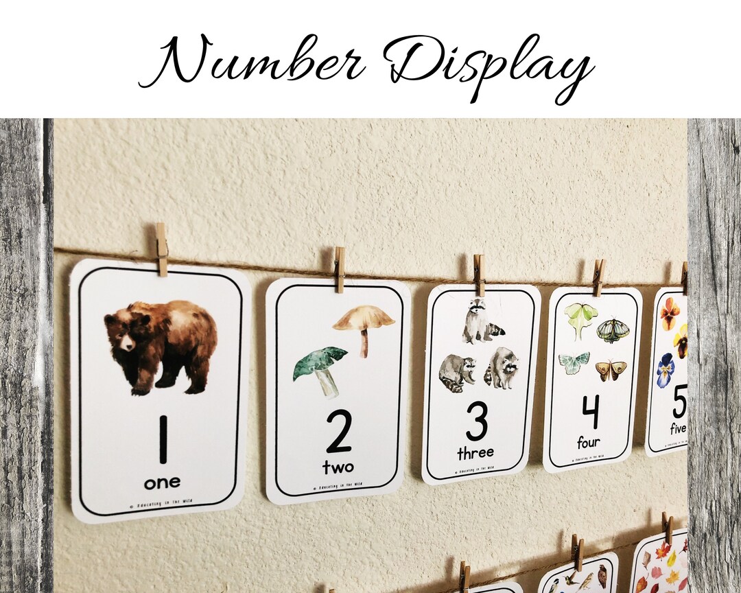 Watercolor Nature Number Cards - Etsy