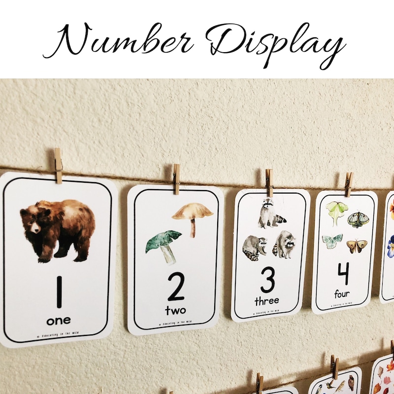 Watercolor by Number - Etsy