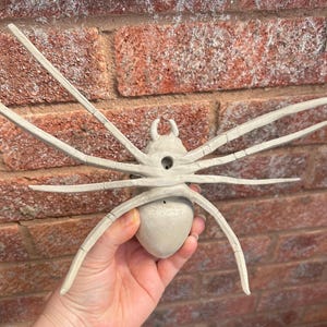 Spider Pottery Sculpture Template Pattern for Hand Building in Clay ...