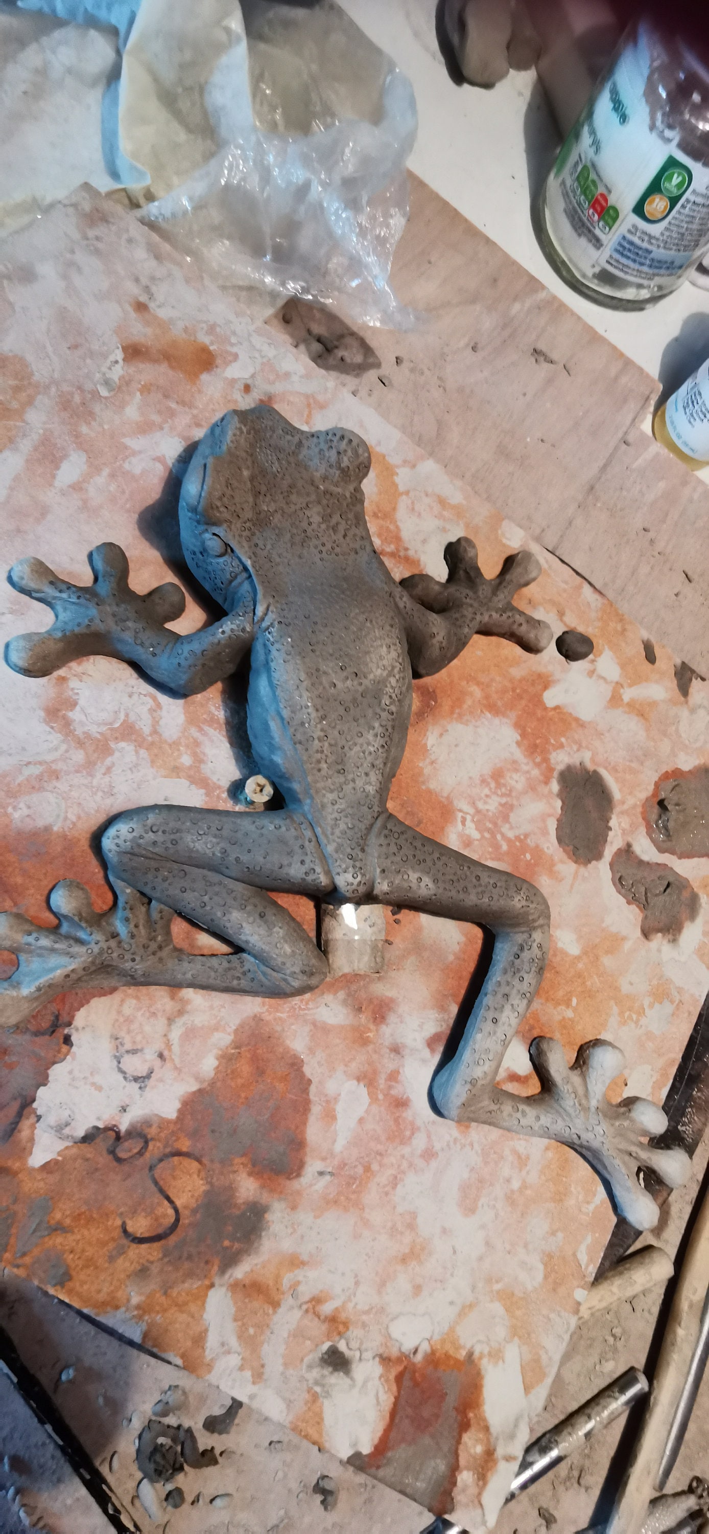 Level EASY Tree Frog red Eye Sculpture Template Pattern. | Etsy