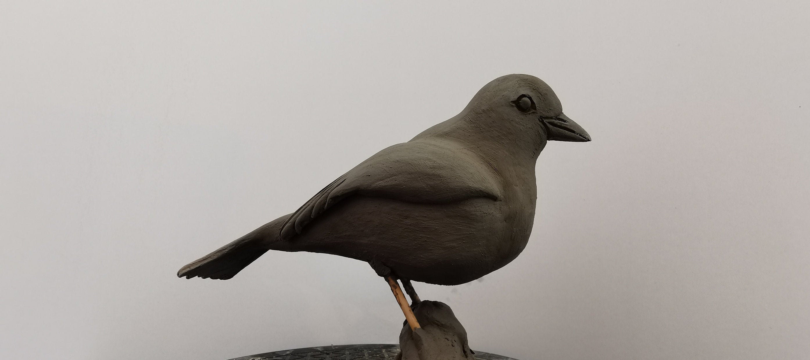 Robin Pottery Sculpture Template: Easy Hand Building (PDF Pattern) With ...