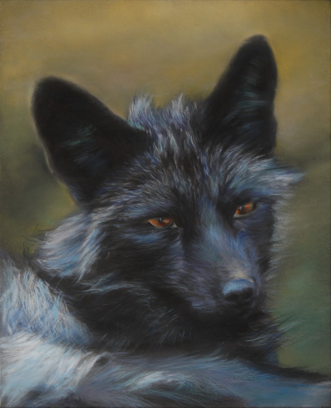 Silver Fox Hand Drawing Original by the Artist - Etsy