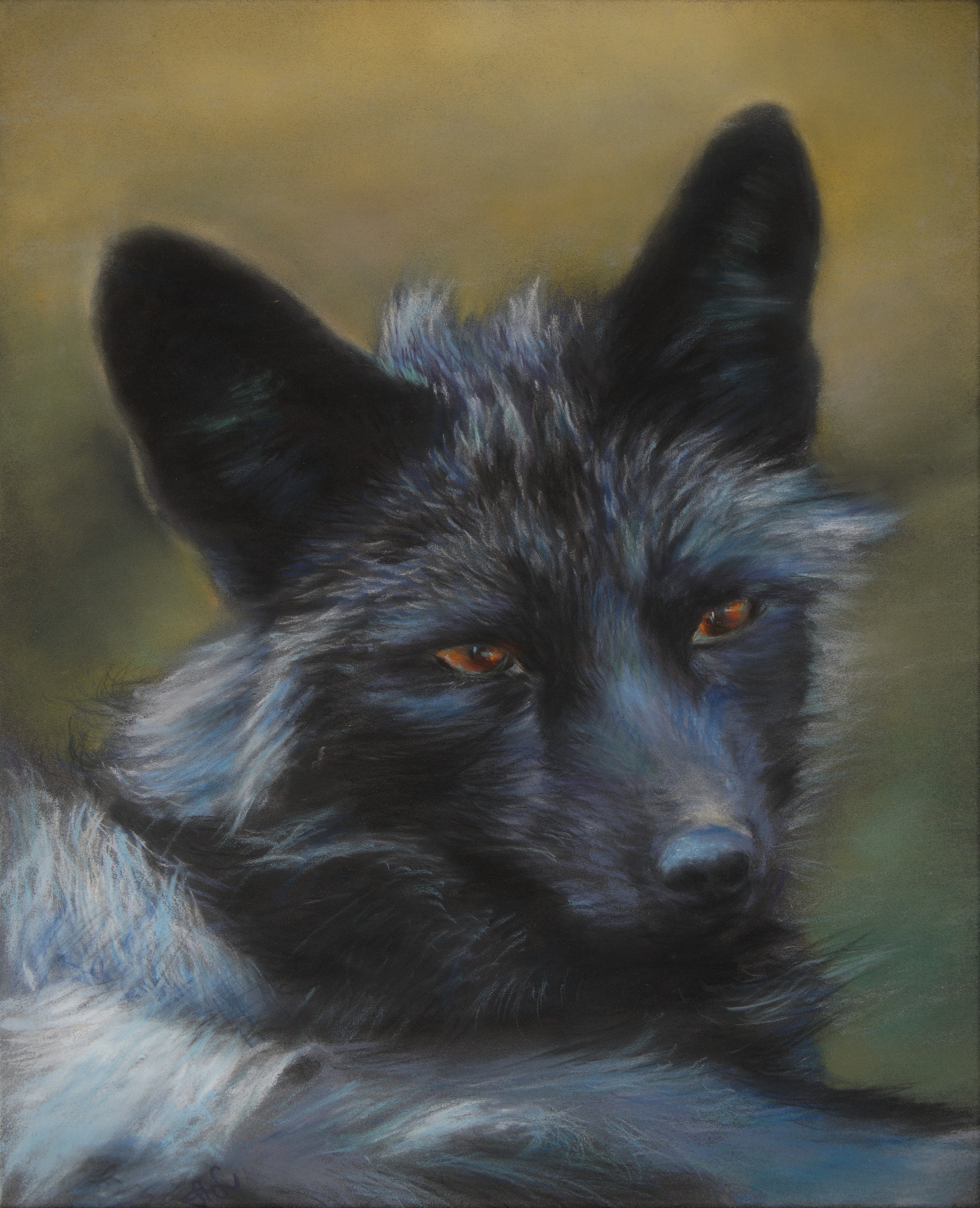 Silver Fox Hand Drawing Original by the Artist - Etsy