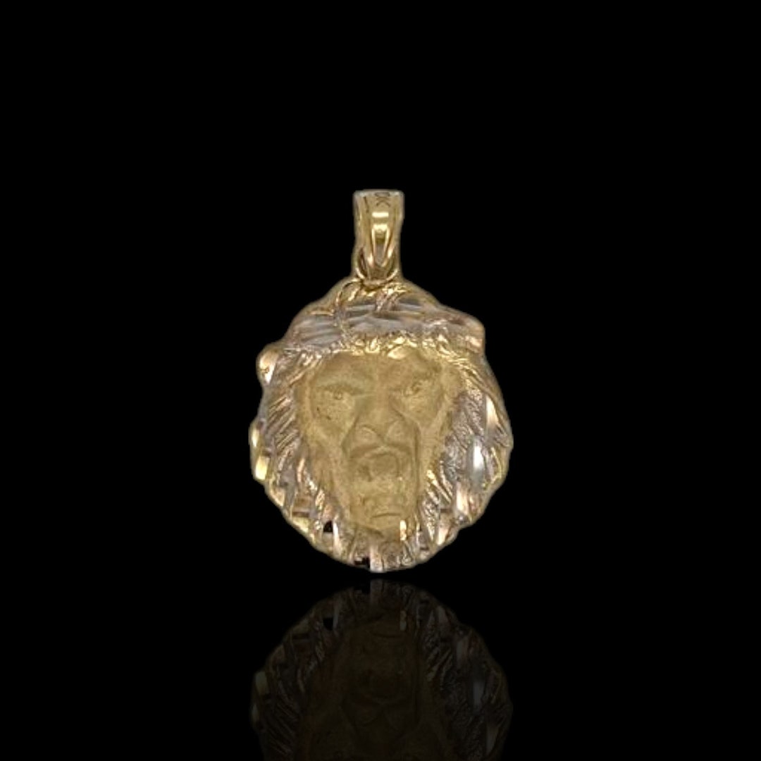 Lion Face Pendant - 10K Yellow Gold - Etsy