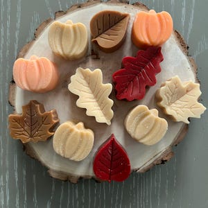 Seasonal Wax Melts - Etsy