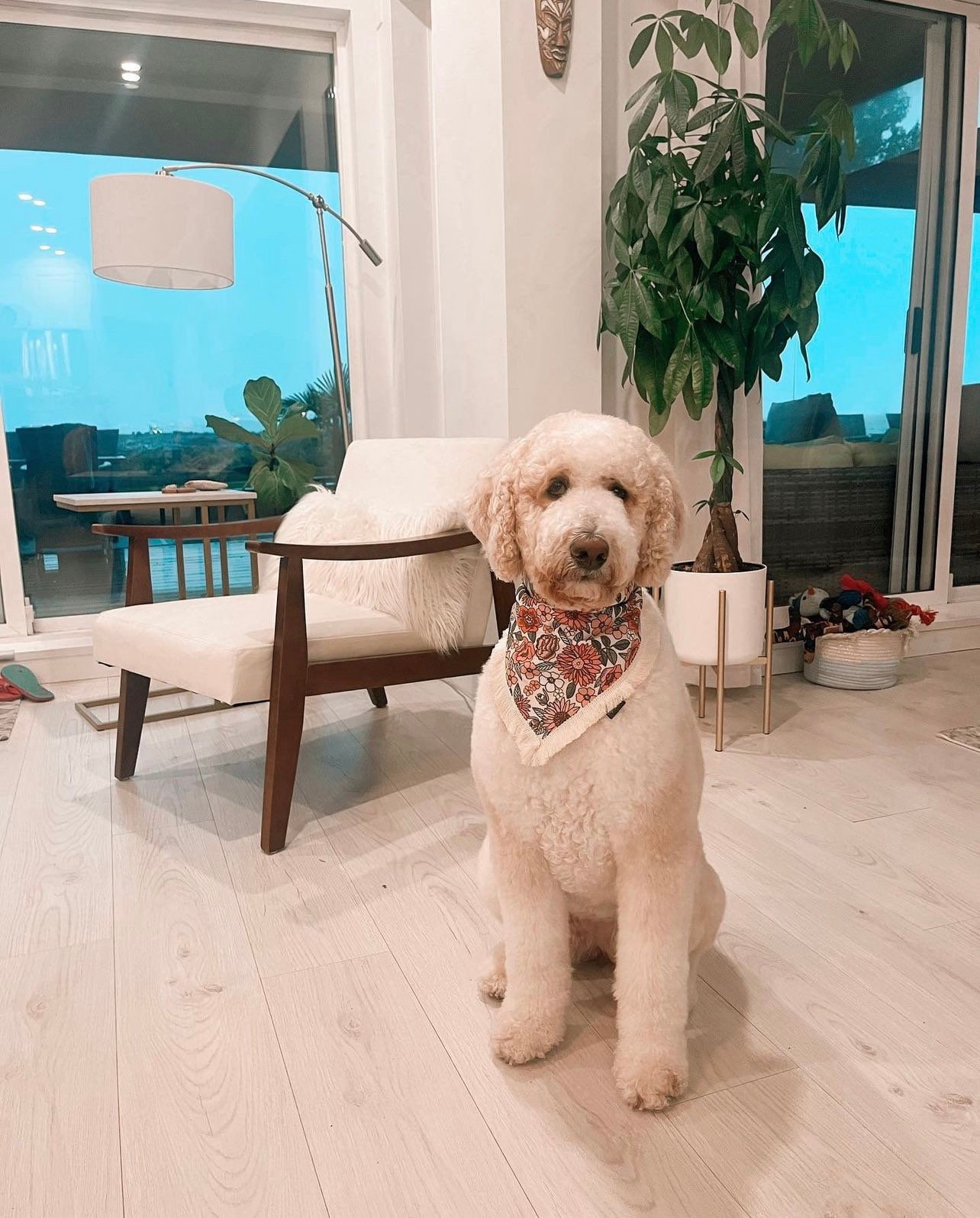 Retro Floral Snap-on Dog Bandana Holiday Gift Idea - Etsy