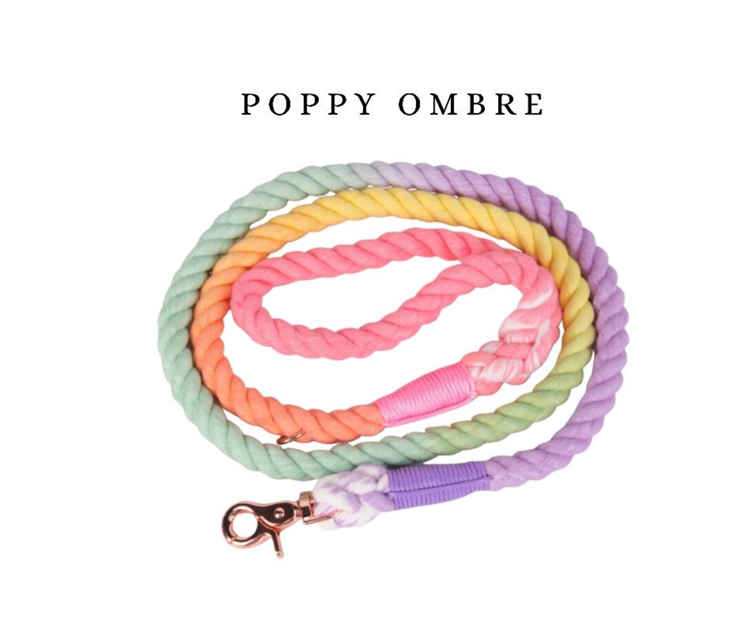 POPPY OMBRE Gradient Cotton Rope Leash | Nautical Rope Leash | Puppy ...