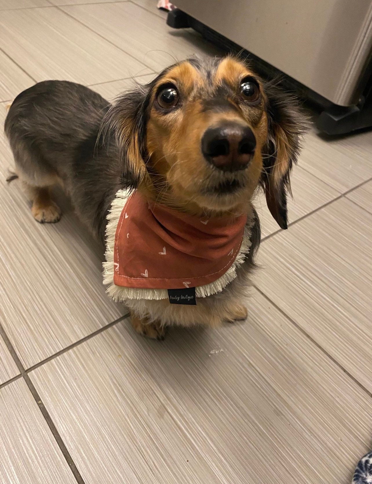 Retro Floral Snap-on Dog Bandana Holiday Gift Idea - Etsy