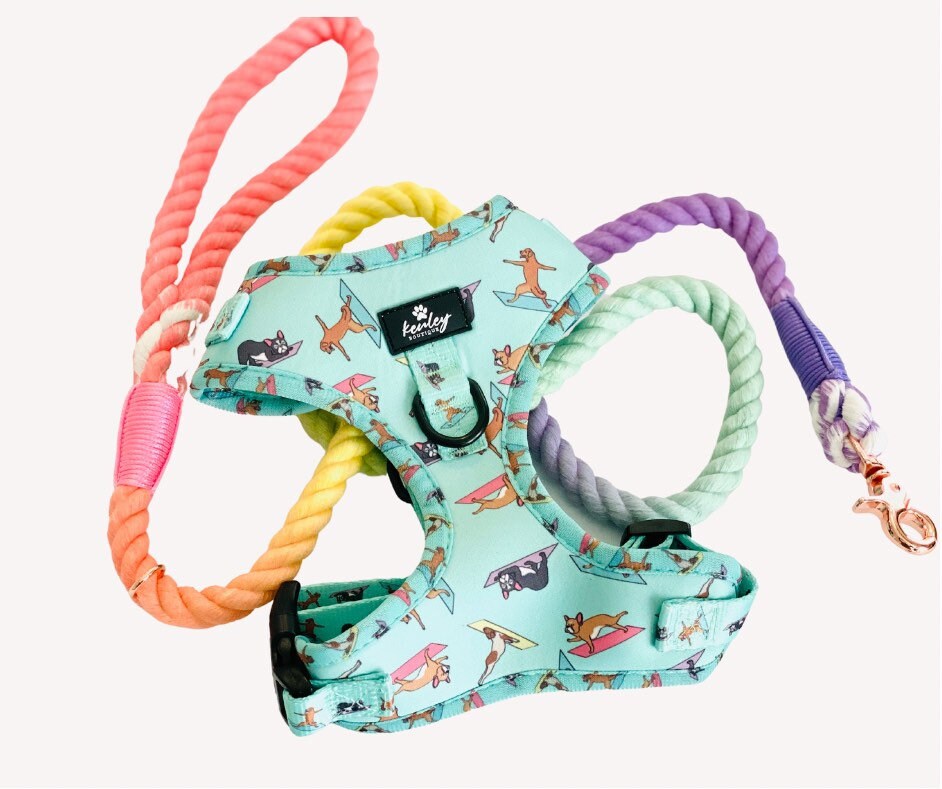 POPPY OMBRE Gradient Cotton Rope Leash Nautical Rope Leash - Etsy