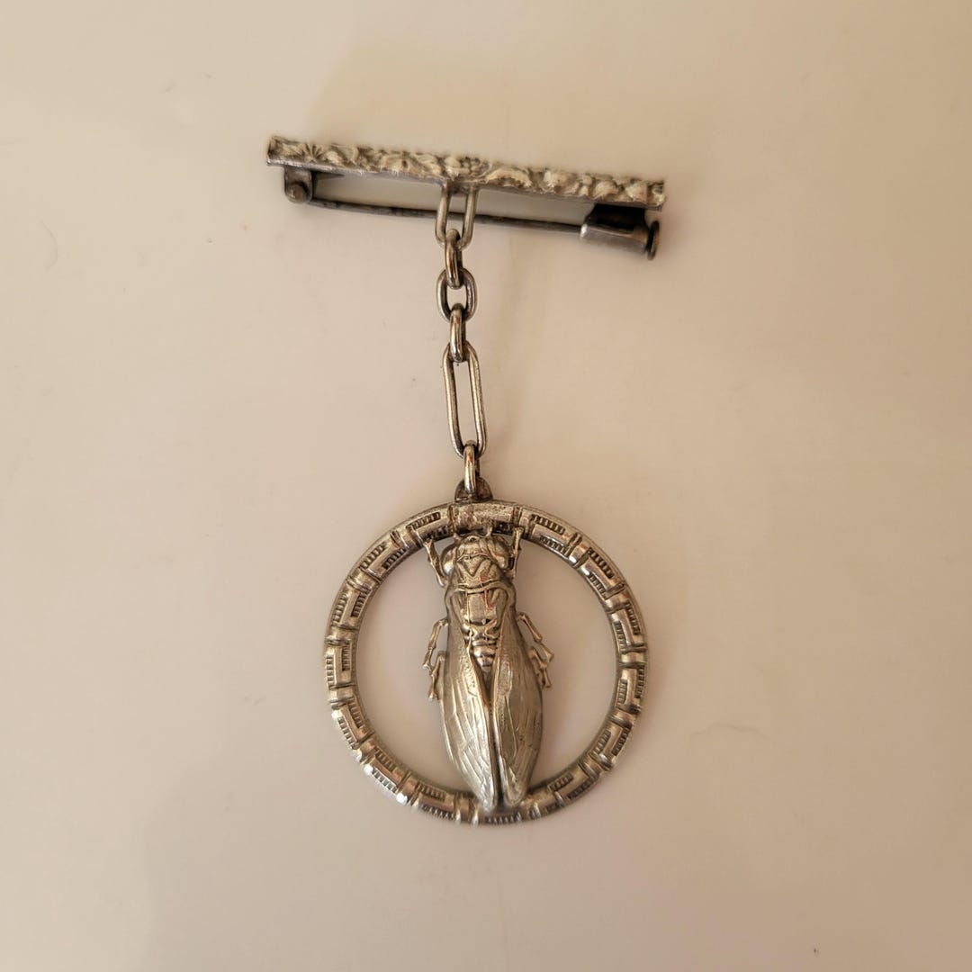 Vintage Beetle Brooch With British Trombone Clasp | Antique Insect ...