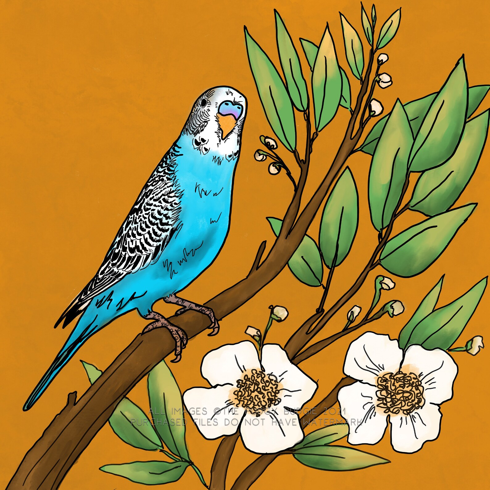 Blue Parakeet and Celon Ironwood Flowers Digital Drawing - Etsy