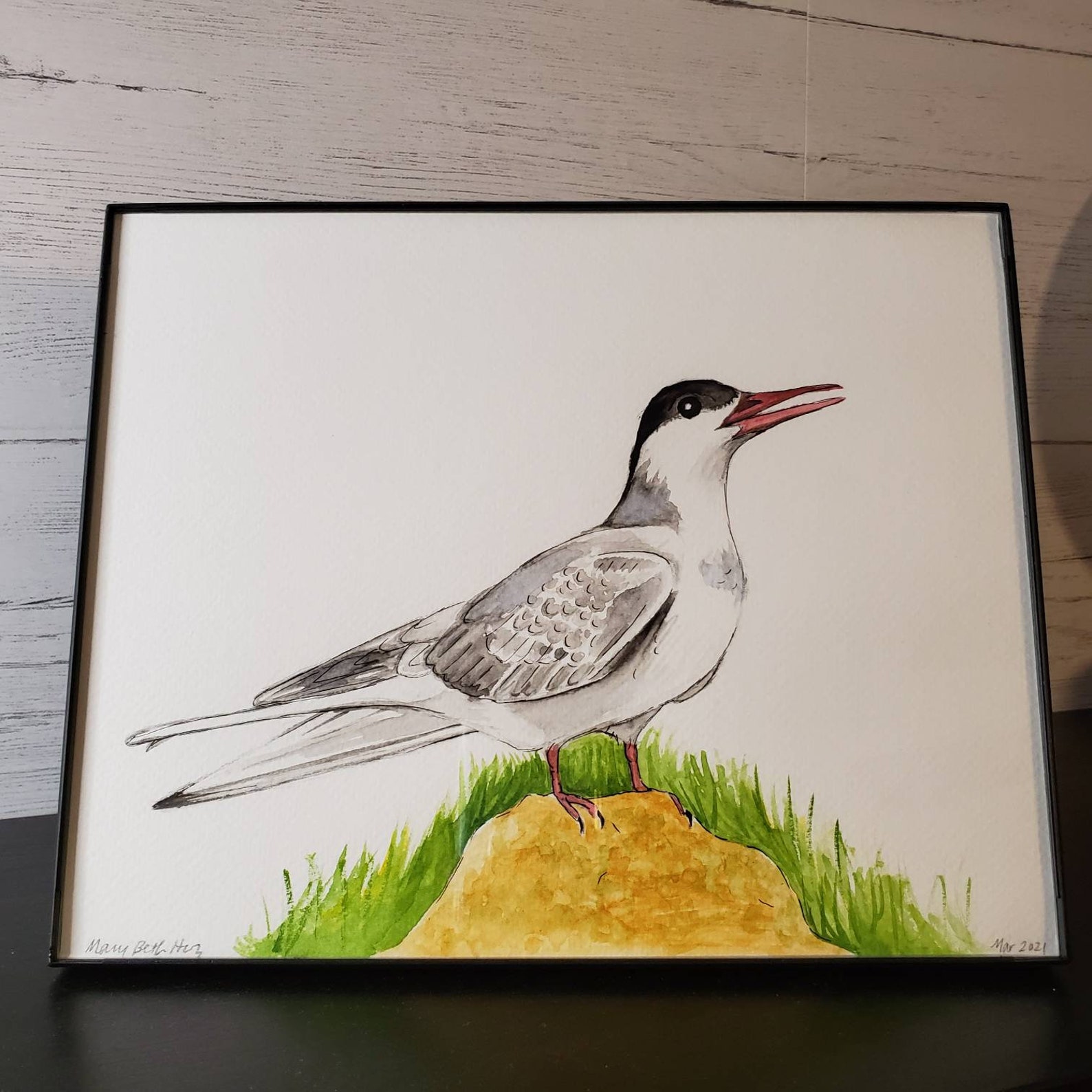 Arctic Tern Watercolor Painting- Framed - Etsy