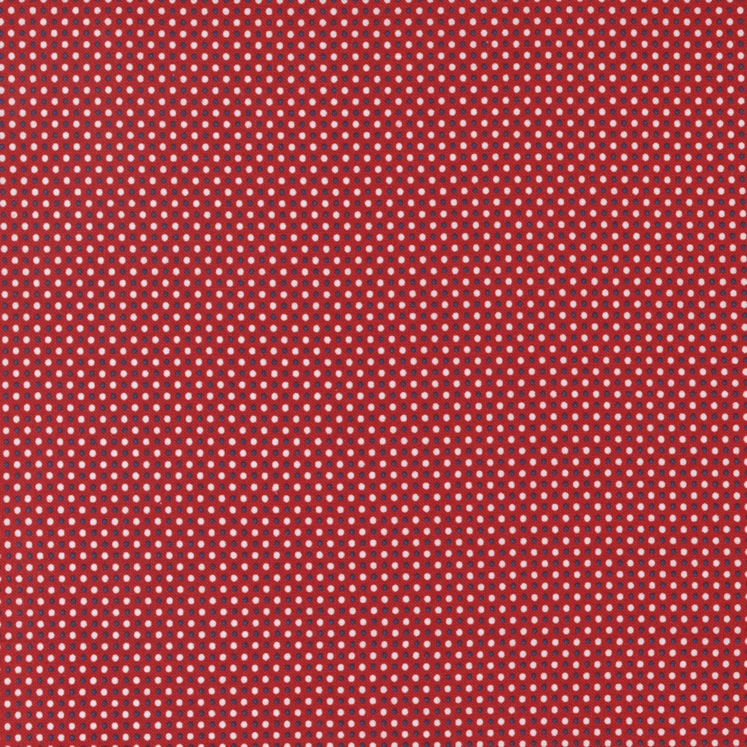 Moda Fabrics - GRAZE - Quilt Fabric-by-the-1/2 Yard by Sweet Water ...