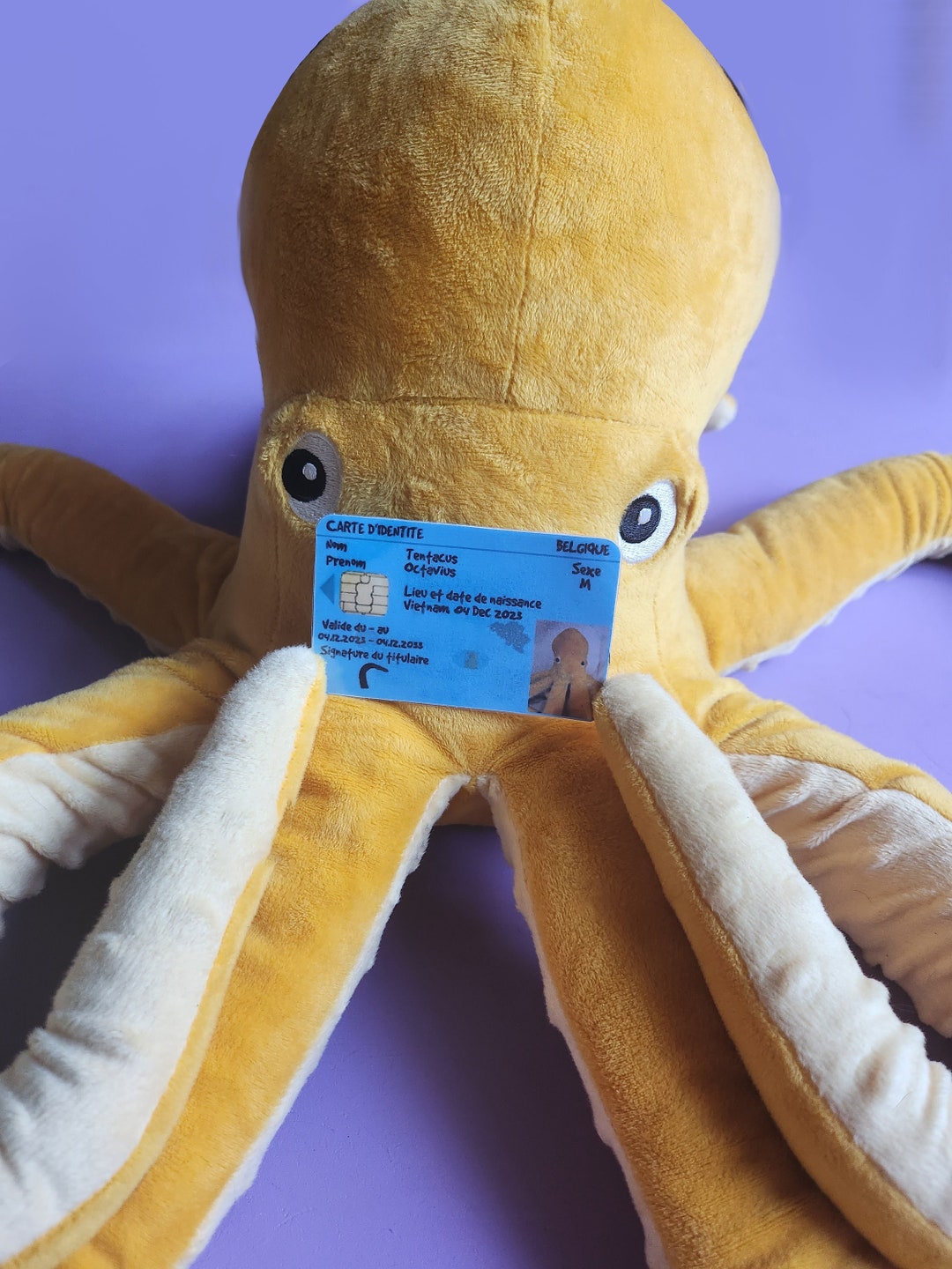 Your Custom Plushie Fake ID - Etsy