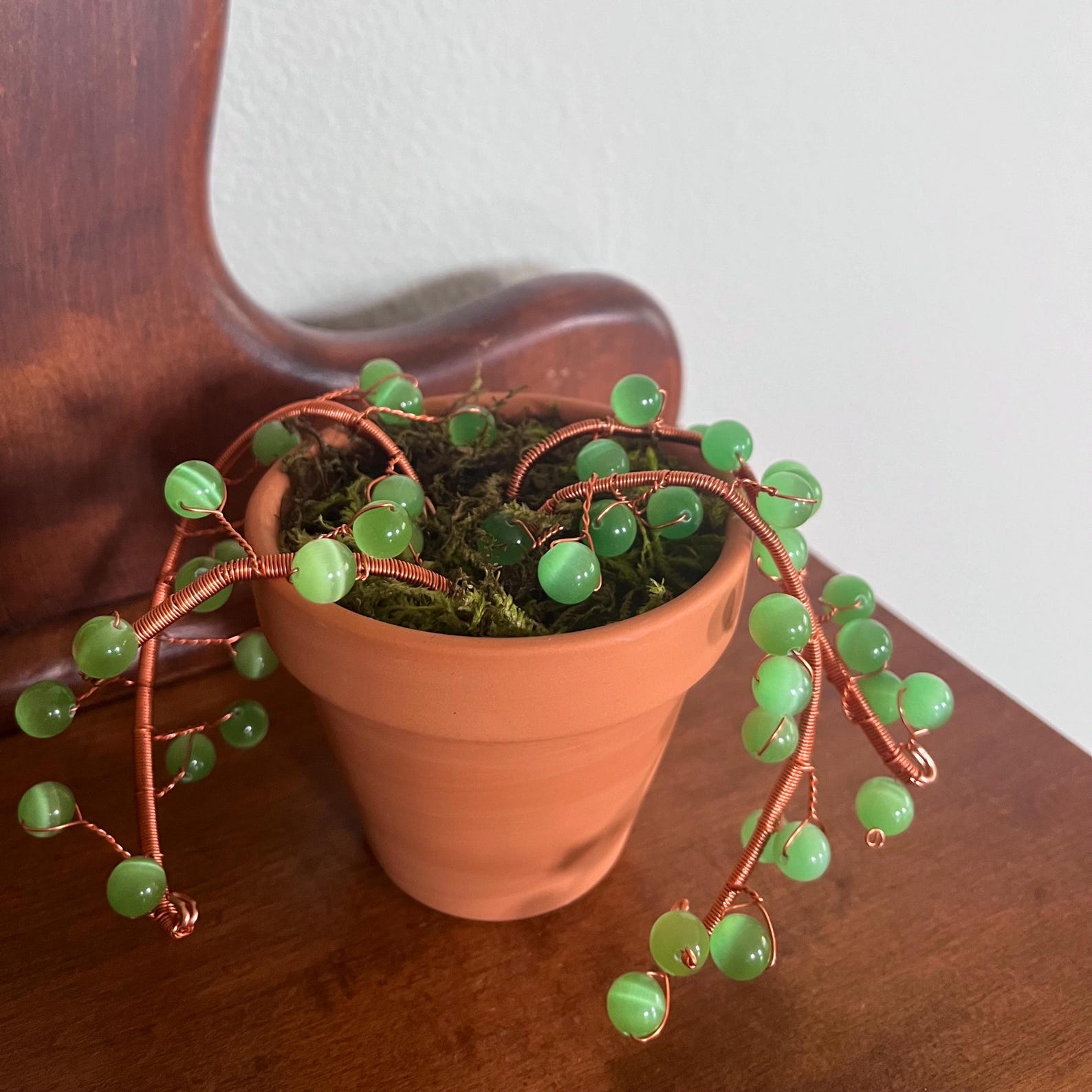 Handmade Beaded String of Pearls Plant — Forever Succulent for Plant ...