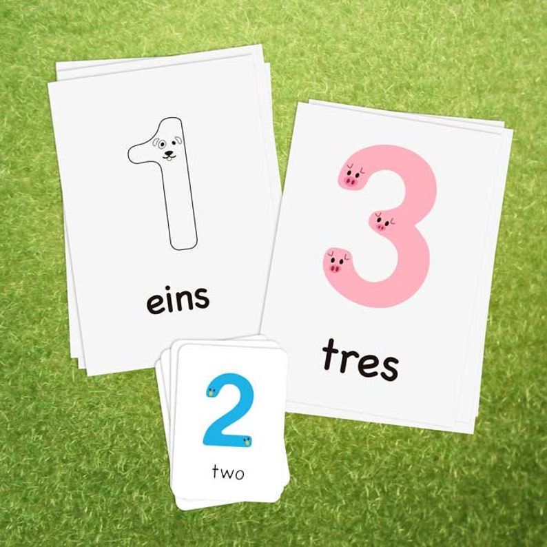 Animal Numbers in English, Spanish, Italian, French, Portuguese, German ...