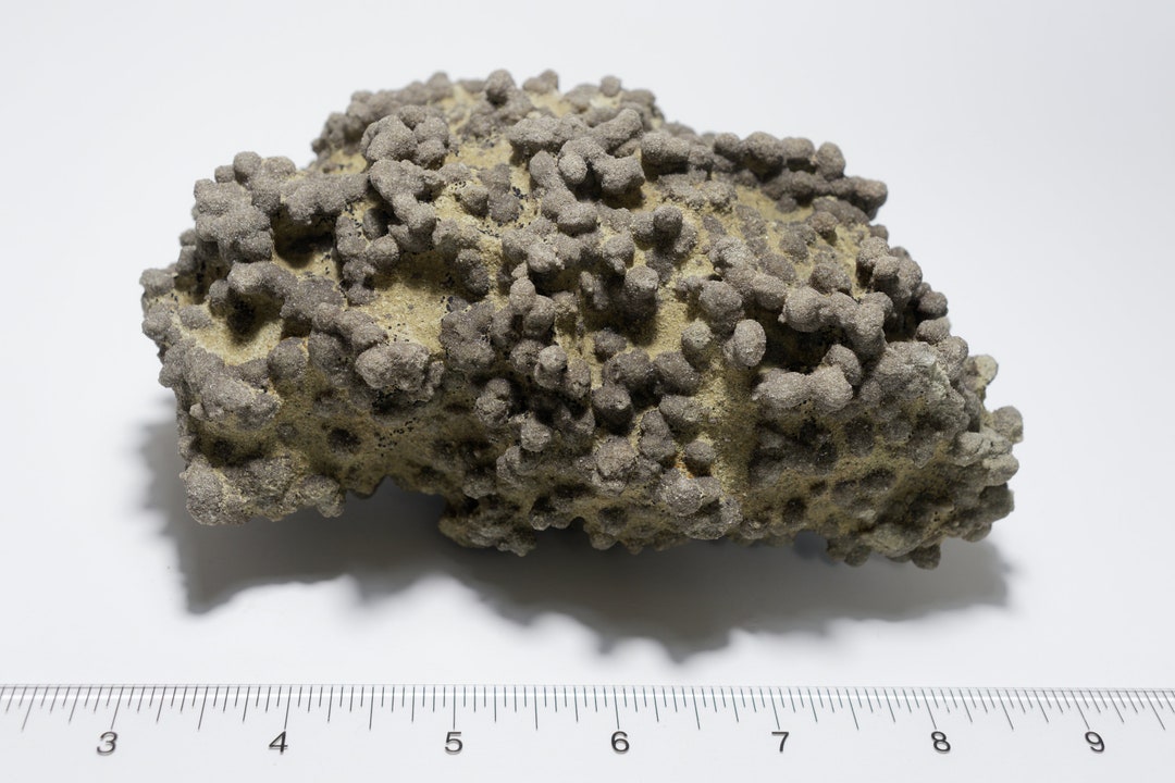 Large Botryoidal Sandstone Concretion - Wyoming Sandstone Concretion ...