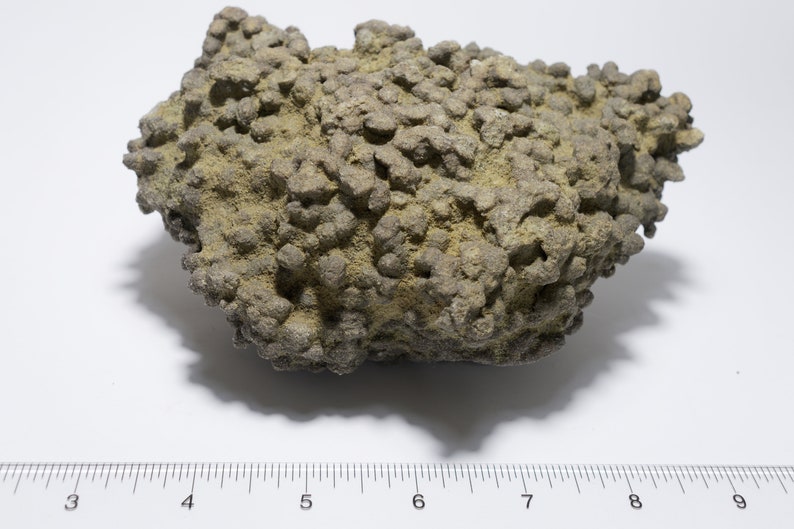 Botryoidal Sandstone Concretion – Red Desert Wyoming, 2lb 6oz - Etsy