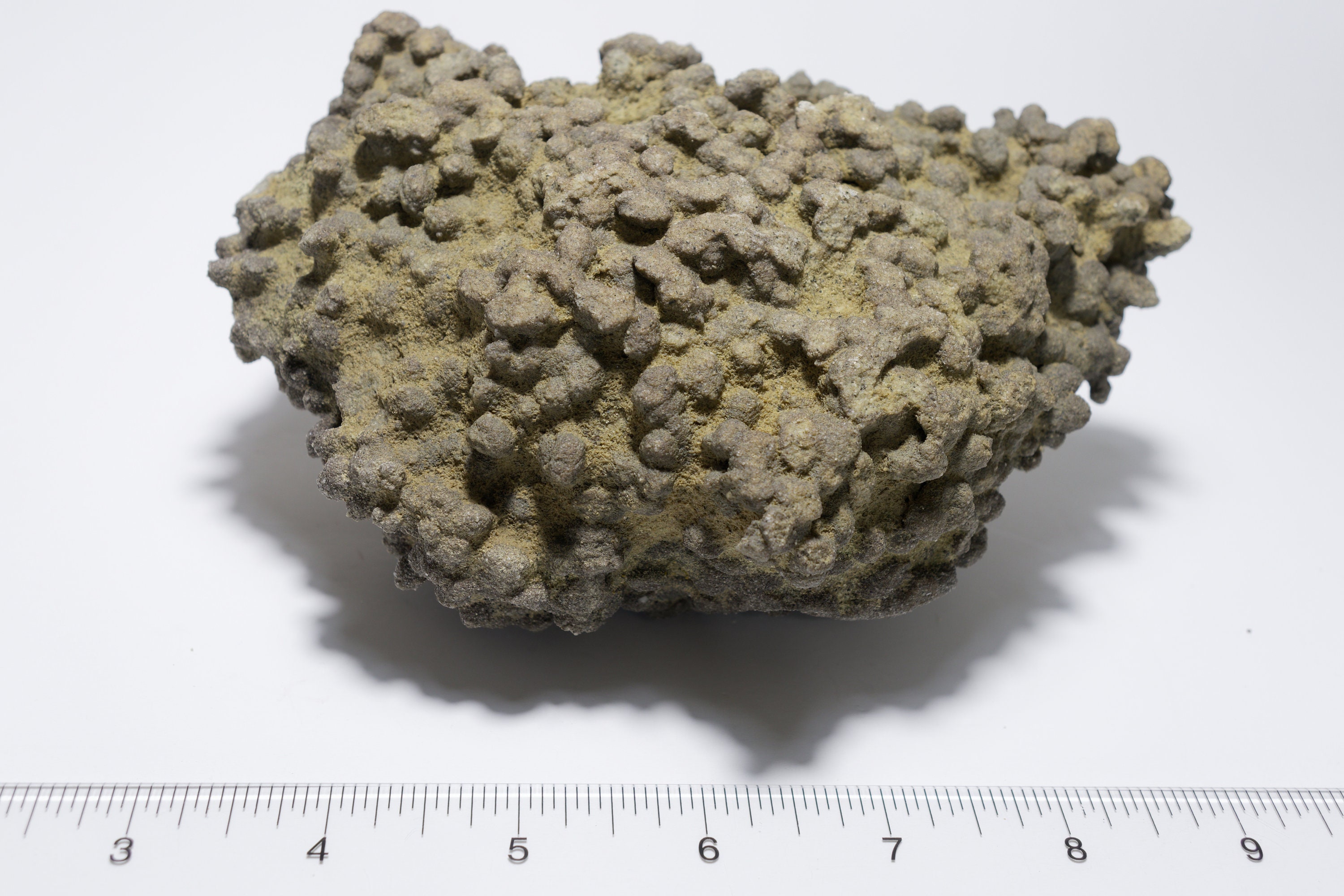 Large Botryoidal Sandstone Concretion - Wyoming Sandstone Concretion ...