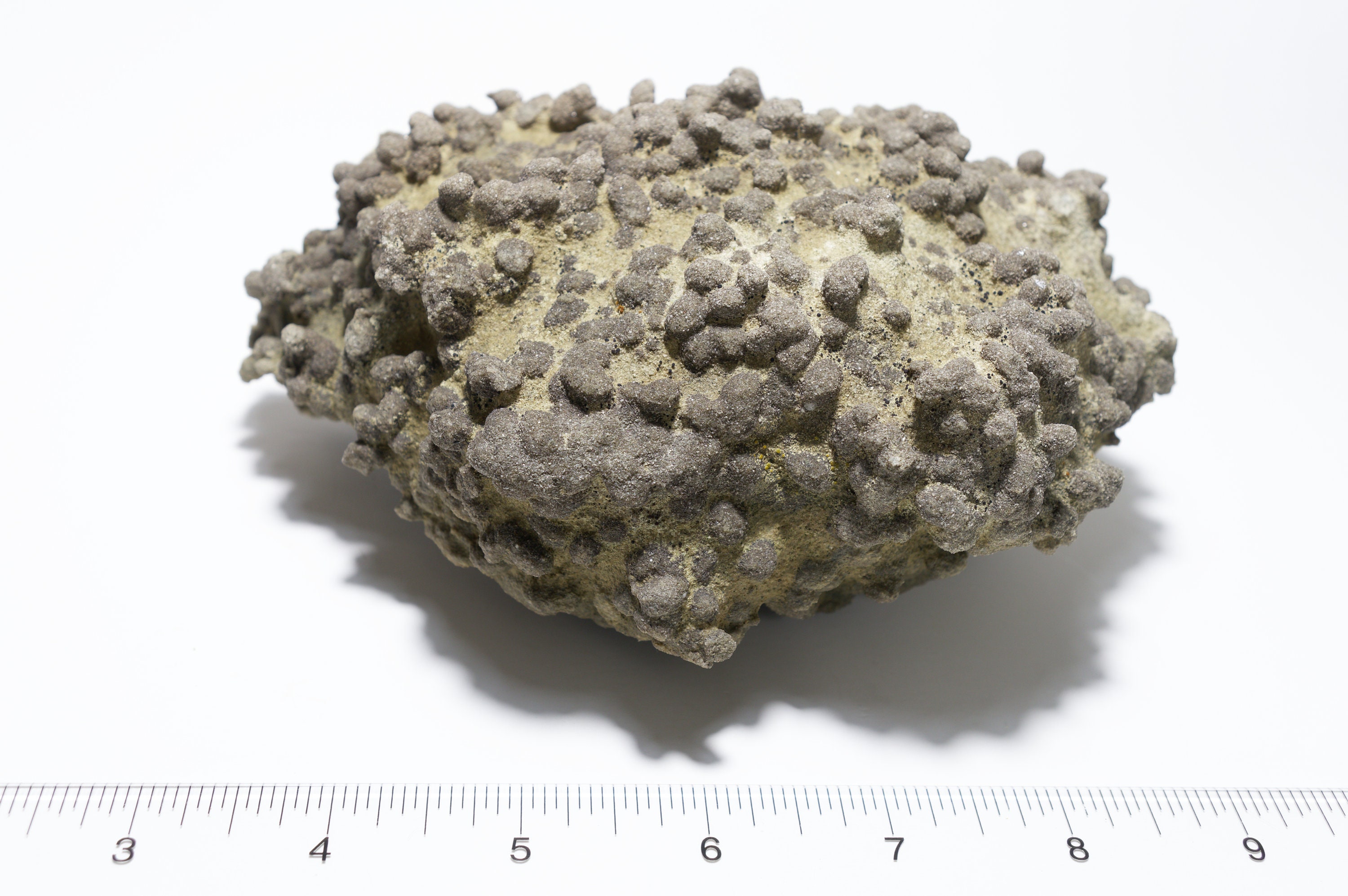 Large Botryoidal Sandstone Concretion - Wyoming Sandstone Concretion ...